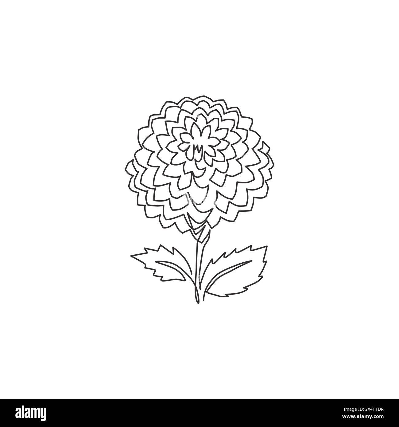 Mexican Flower Line Art