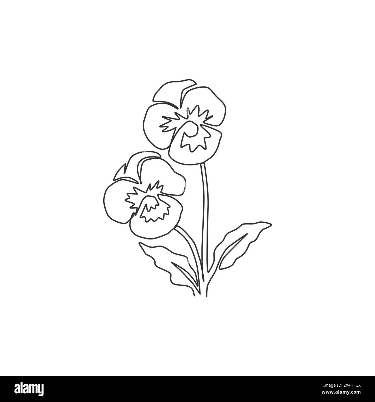 One Continuous Line Drawing Beauty Fresh Violet Hybrid Plant For Home