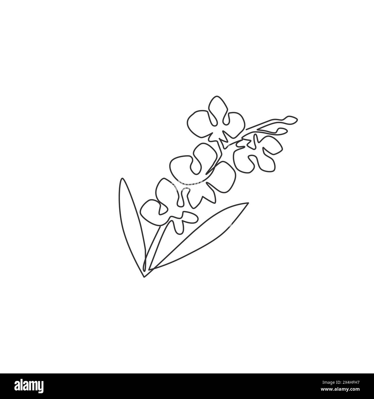 Single Continuous Line Drawing Of Beauty Fresh Gladiolus Printable