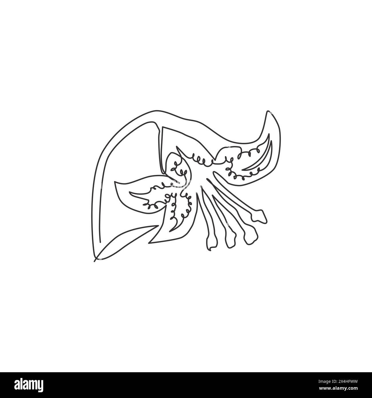 Single One Line Drawing Of Beauty Fresh Lilium For Garden Logo