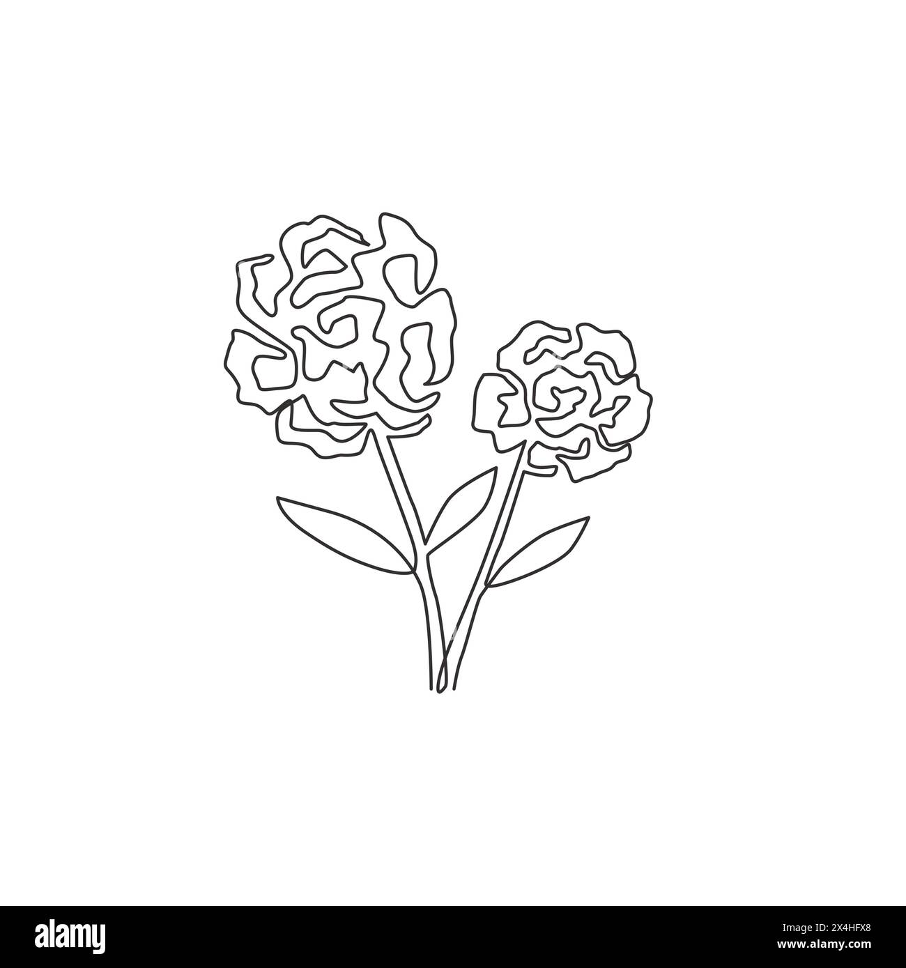 Summer perennials Stock Vector Images - Alamy