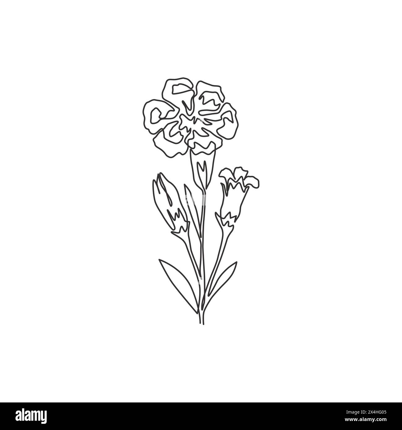 One continuous line drawing of beauty fresh carnation for garden logo ...