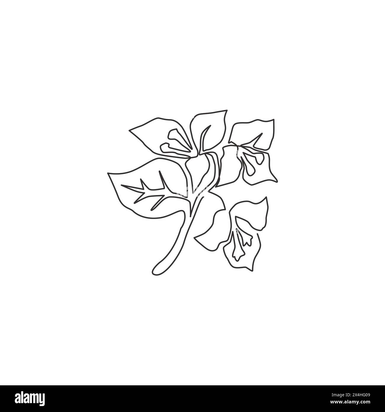 Single Continuous Line Drawing Of Beauty Fresh Bougainville For Home