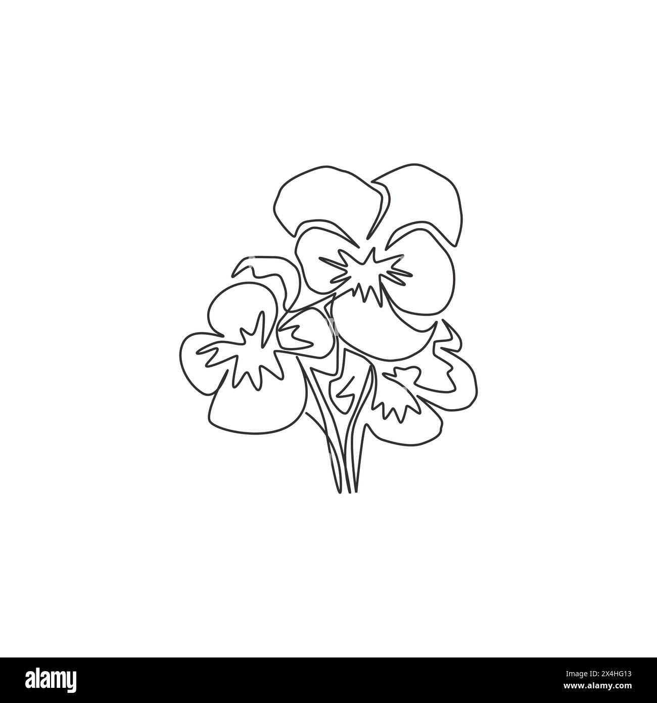 Single continuous line drawing of beauty fresh viola hybrid plant for ...