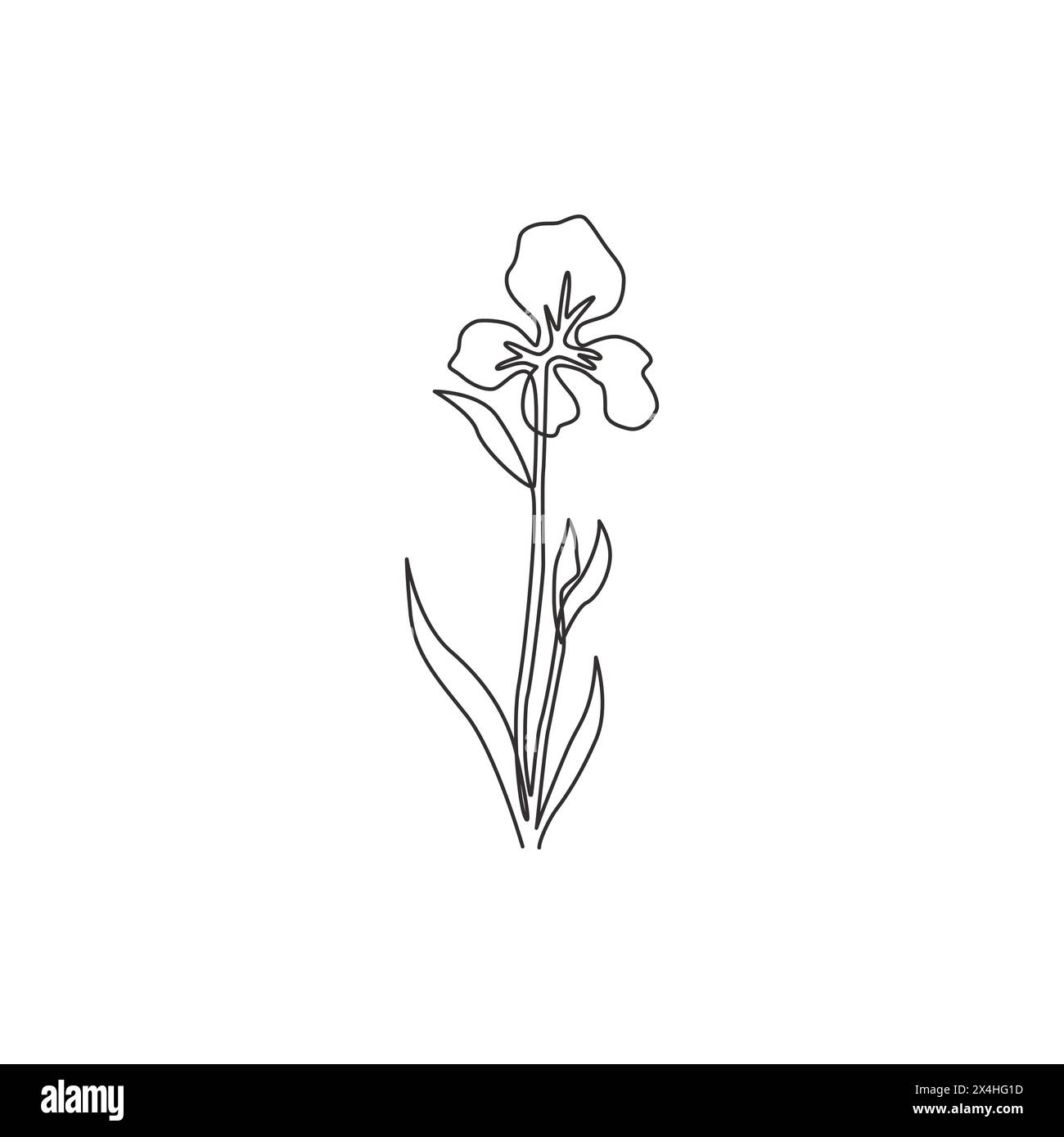One continuous line drawing beauty fresh perennial plants for wall ...