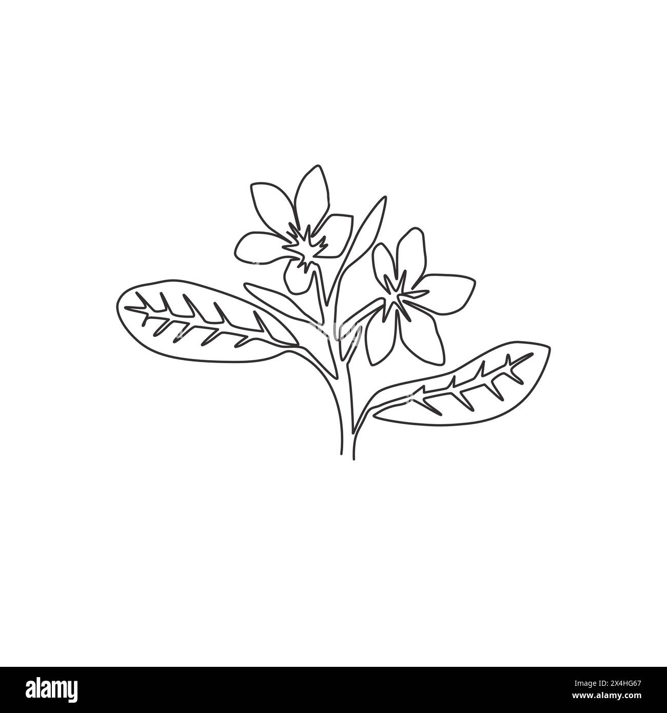 One Continuous Line Drawing Beauty Fresh Plumeria For Wall Home Decor
