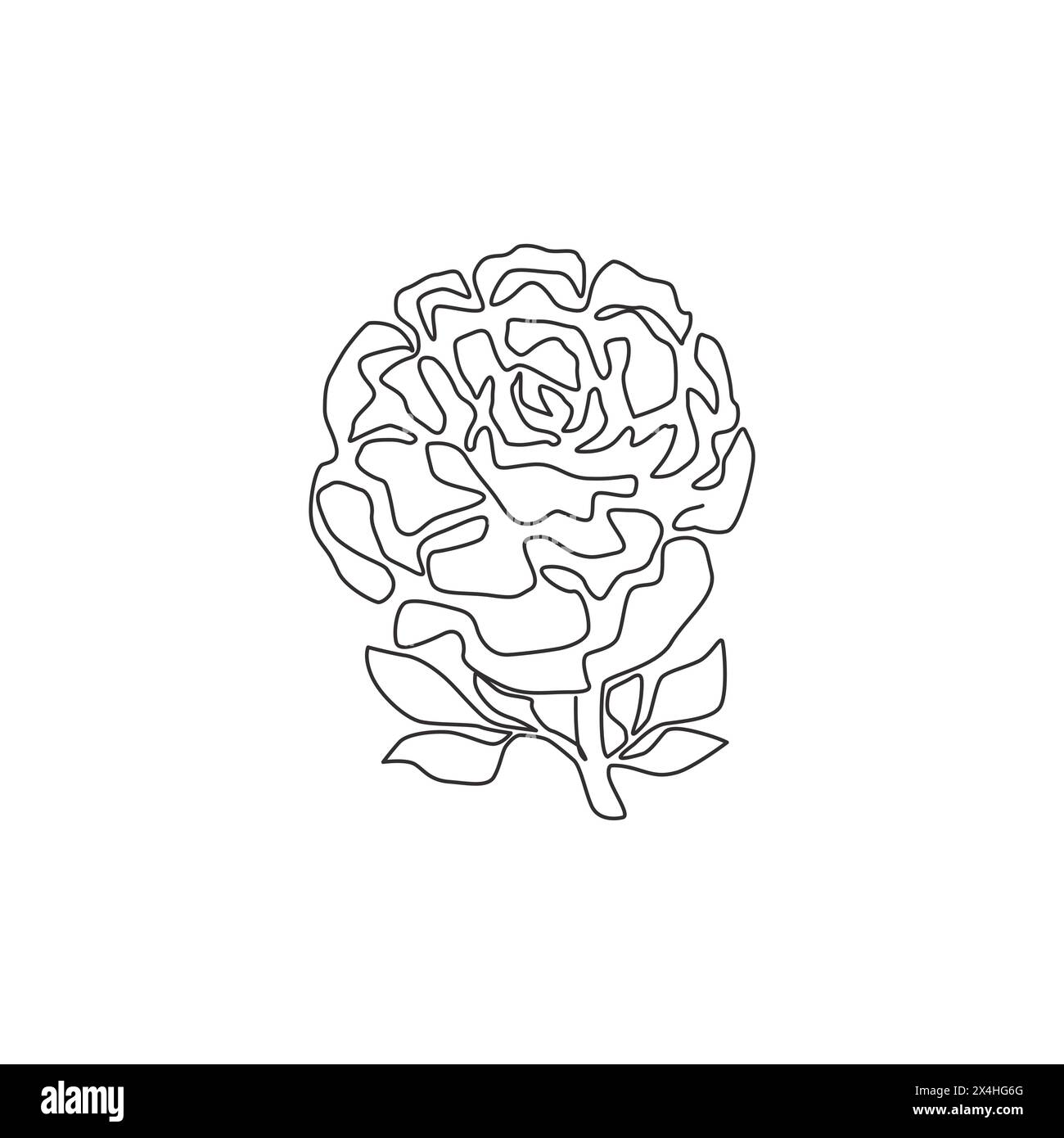 One Continuous Line Drawing Of Beauty Fresh Herbaceous Plant For Garden