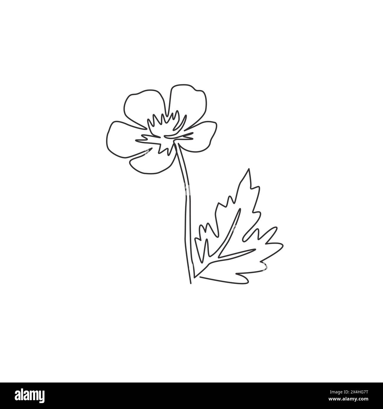 Single one line drawing beauty fresh buttercup for wall decor home ...
