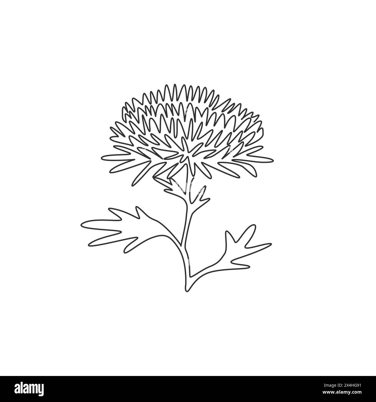 Single Continuous Line Drawing Beauty Fresh Chrysanthemum For Garden