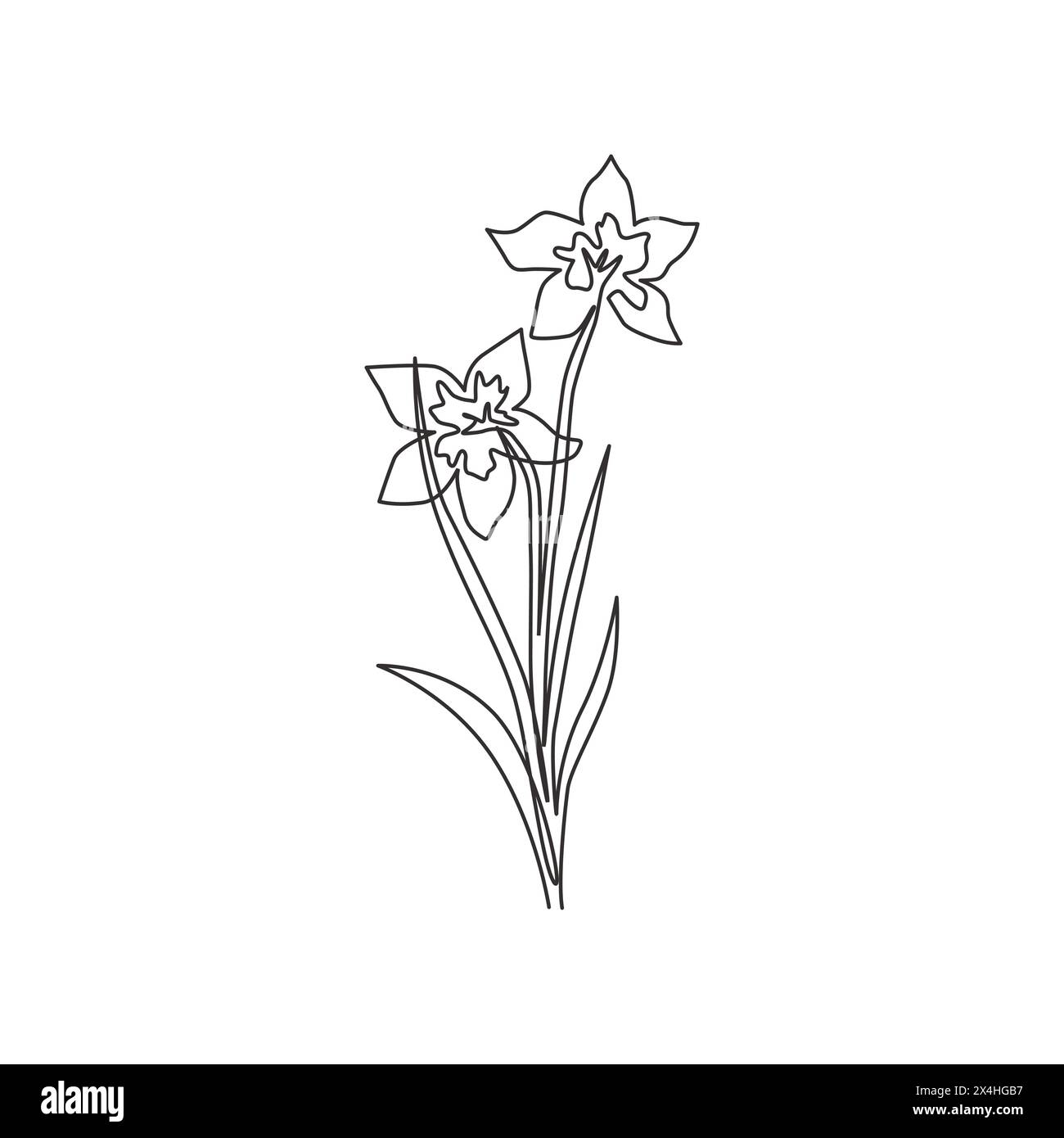 Dafodil Stock Vector Images - Alamy