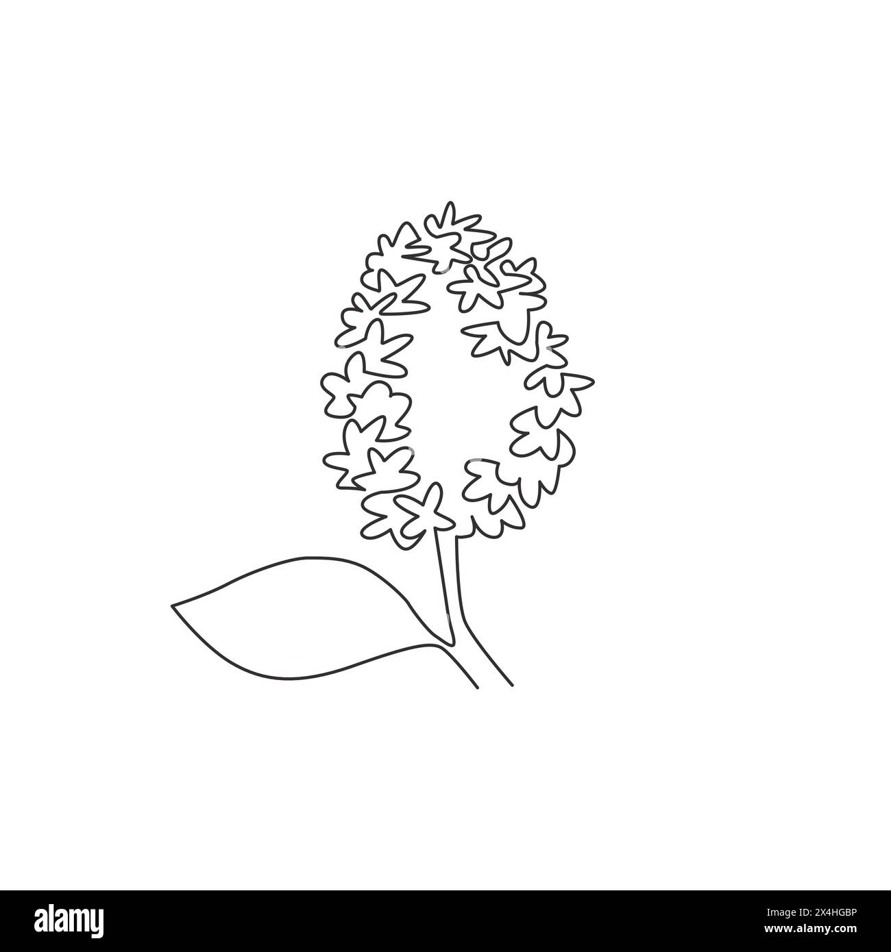 Single Continuous Line Drawing Beauty Fresh Syringa Vulgaris For Home