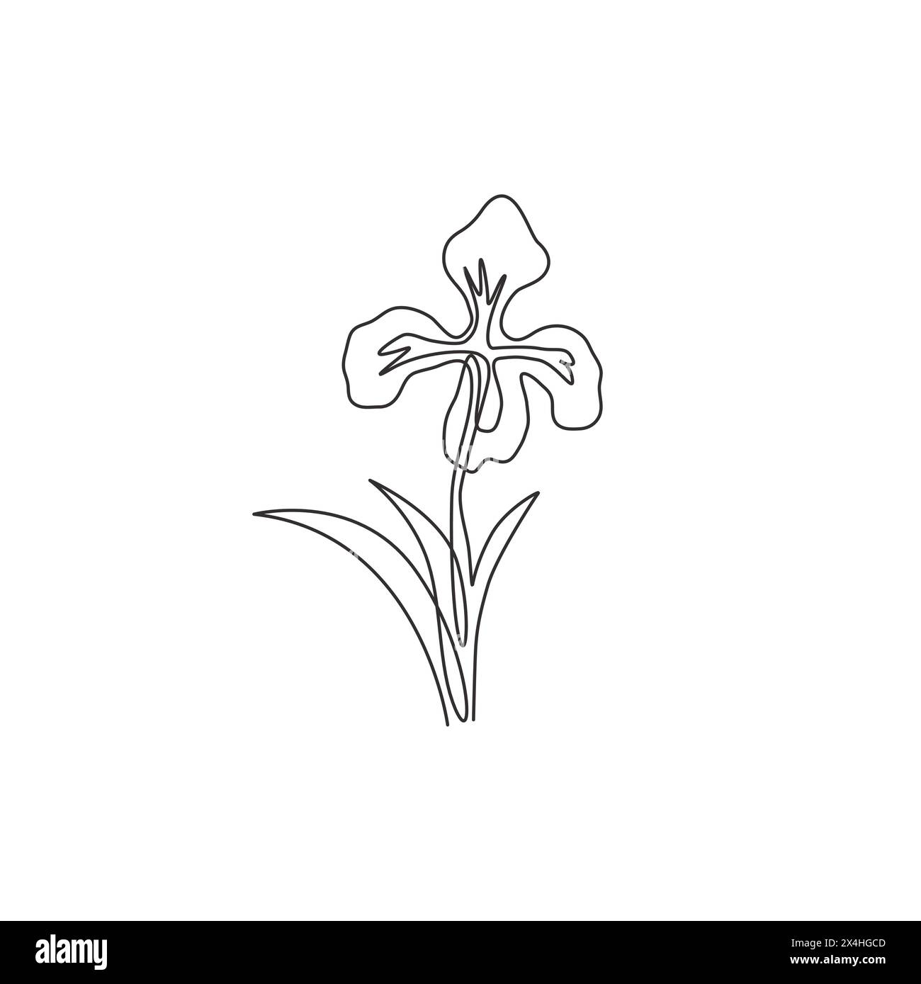One single line drawing of beauty fresh perennial plants for garden ...