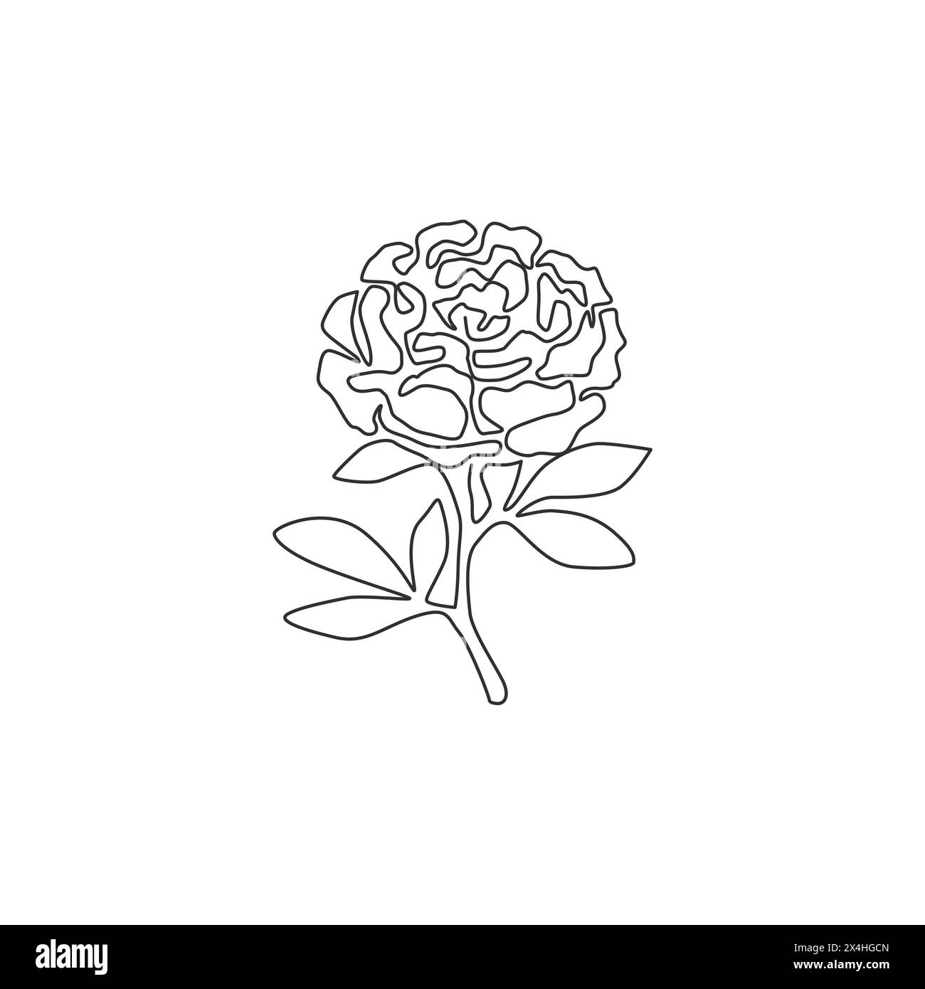 Single Continuous Line Drawing Of Beauty Fresh Herbaceous Plant For