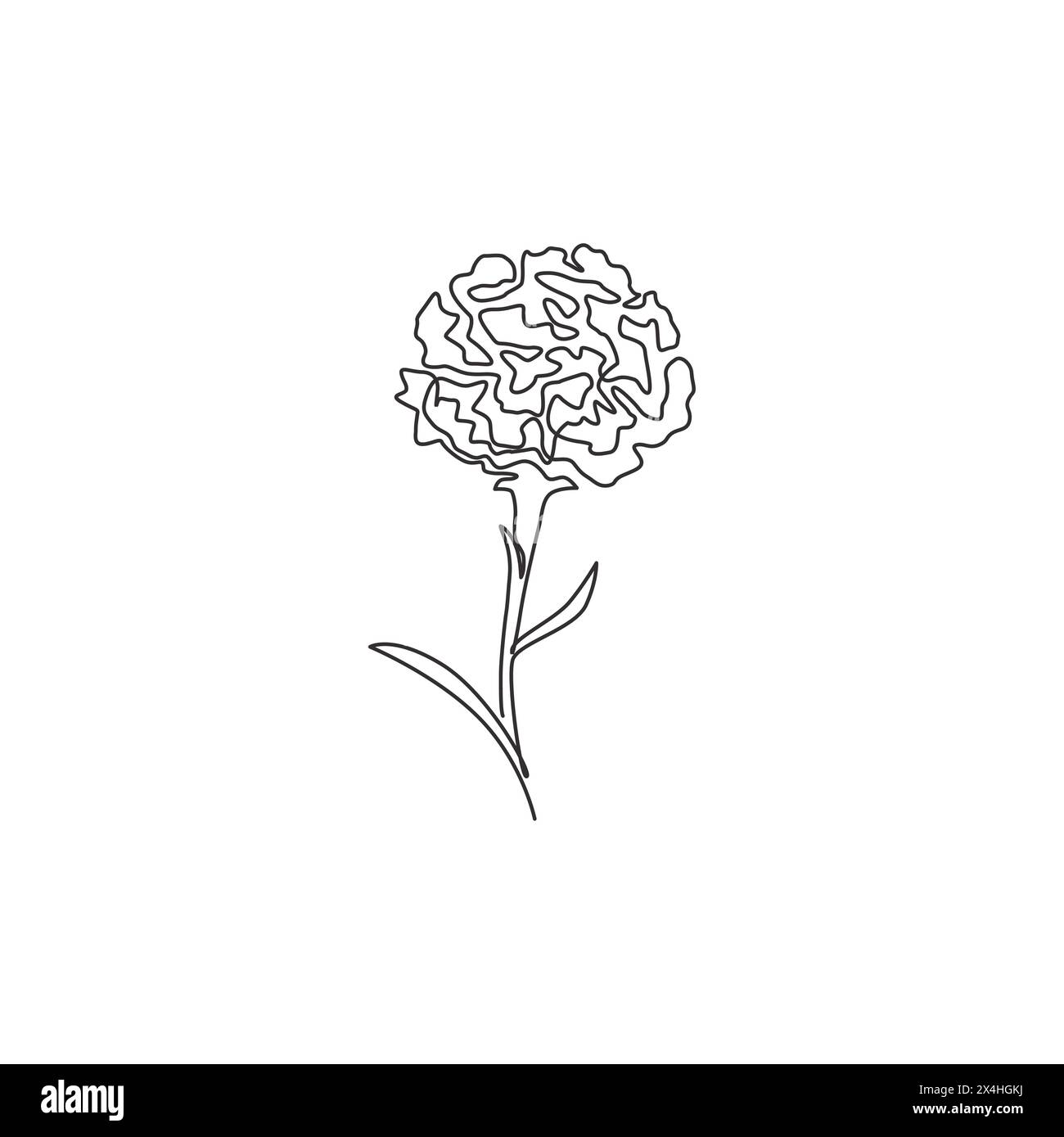 One Continuous Line Drawing Beauty Fresh Carnation For Home Wall Art