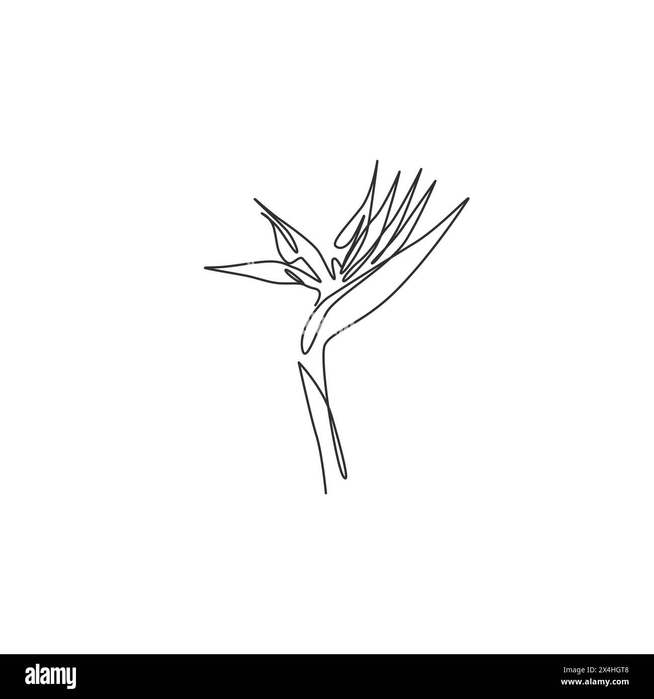 Single continuous line drawing of beauty fresh strelitzia for home wall ...