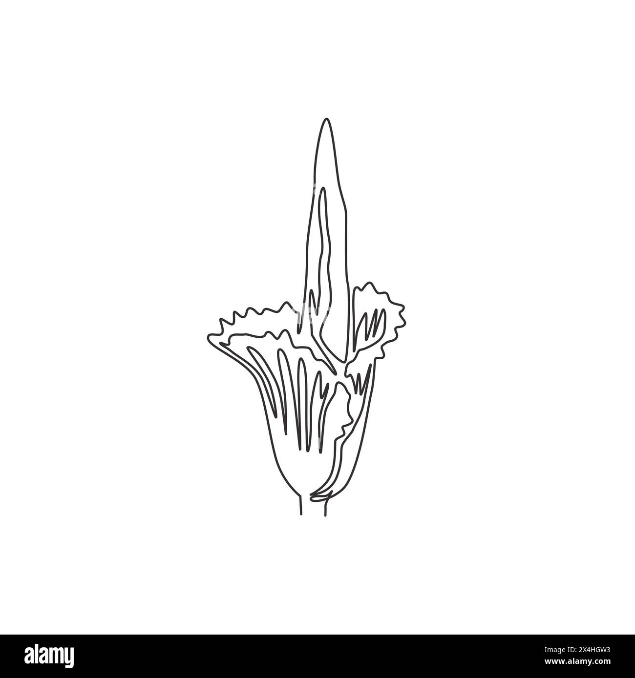 Corpse flower illustration hi-res stock photography and images - Alamy