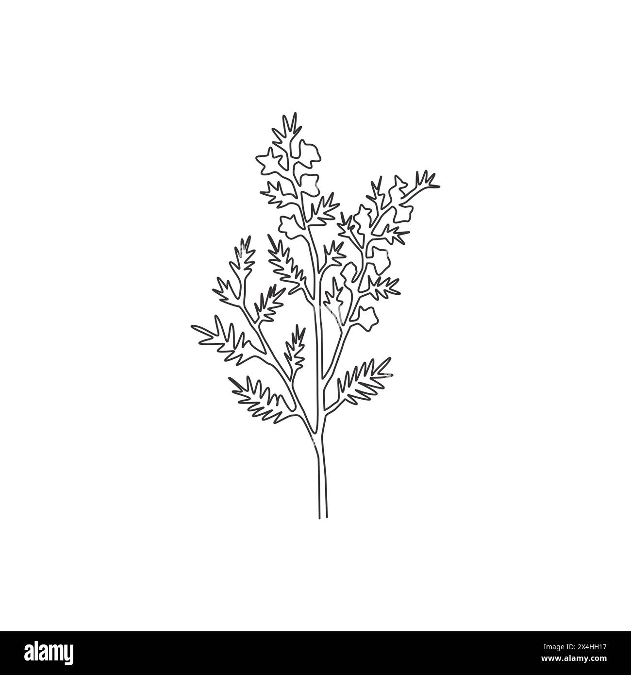 Single one line drawing beauty fresh common heather for garden logo ...