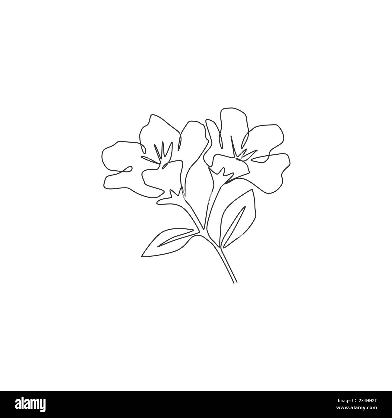 Windflower vector vectors hi-res stock photography and images - Alamy