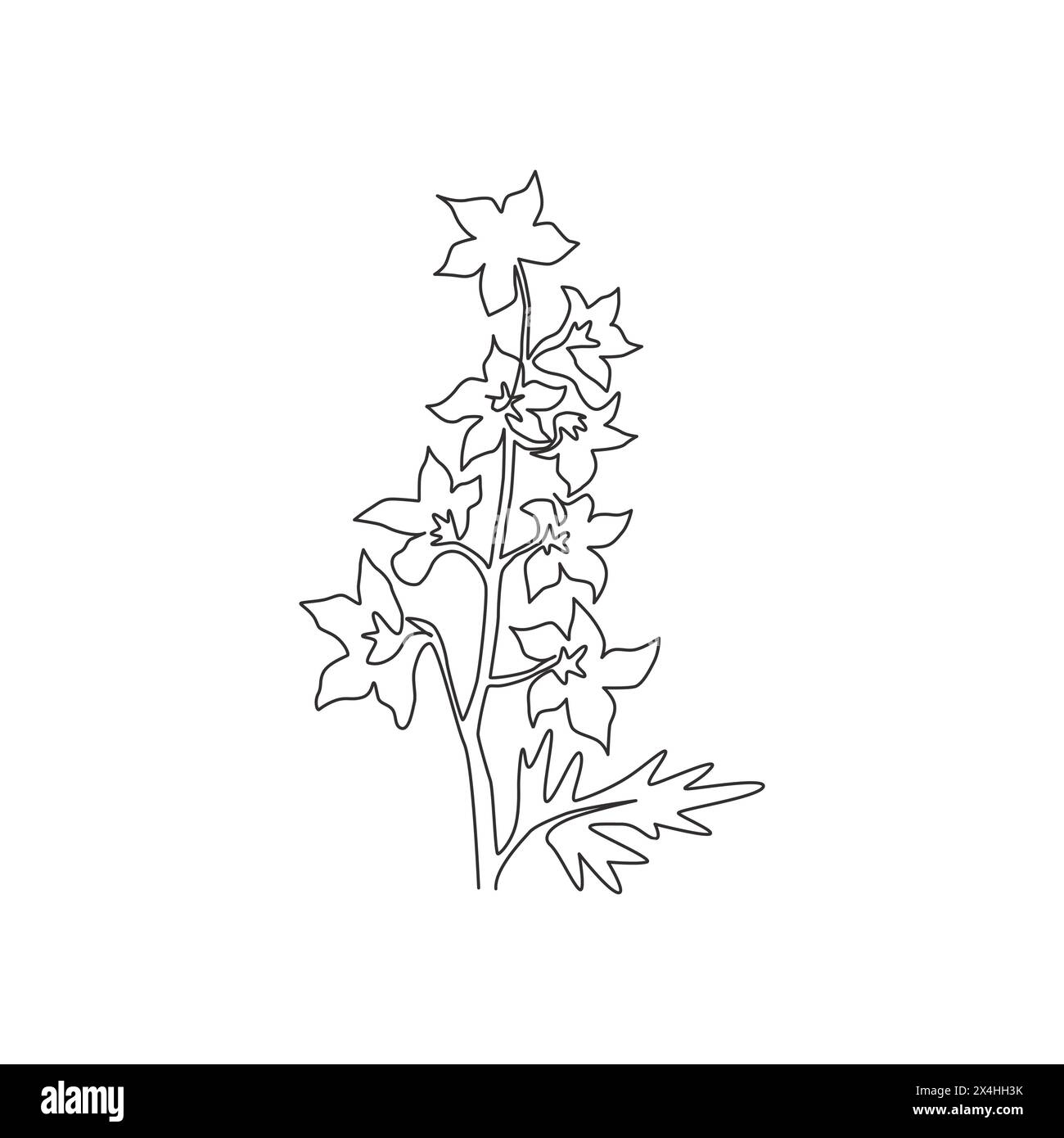 One continuous line drawing beauty fresh larkspur for home decor wall ...