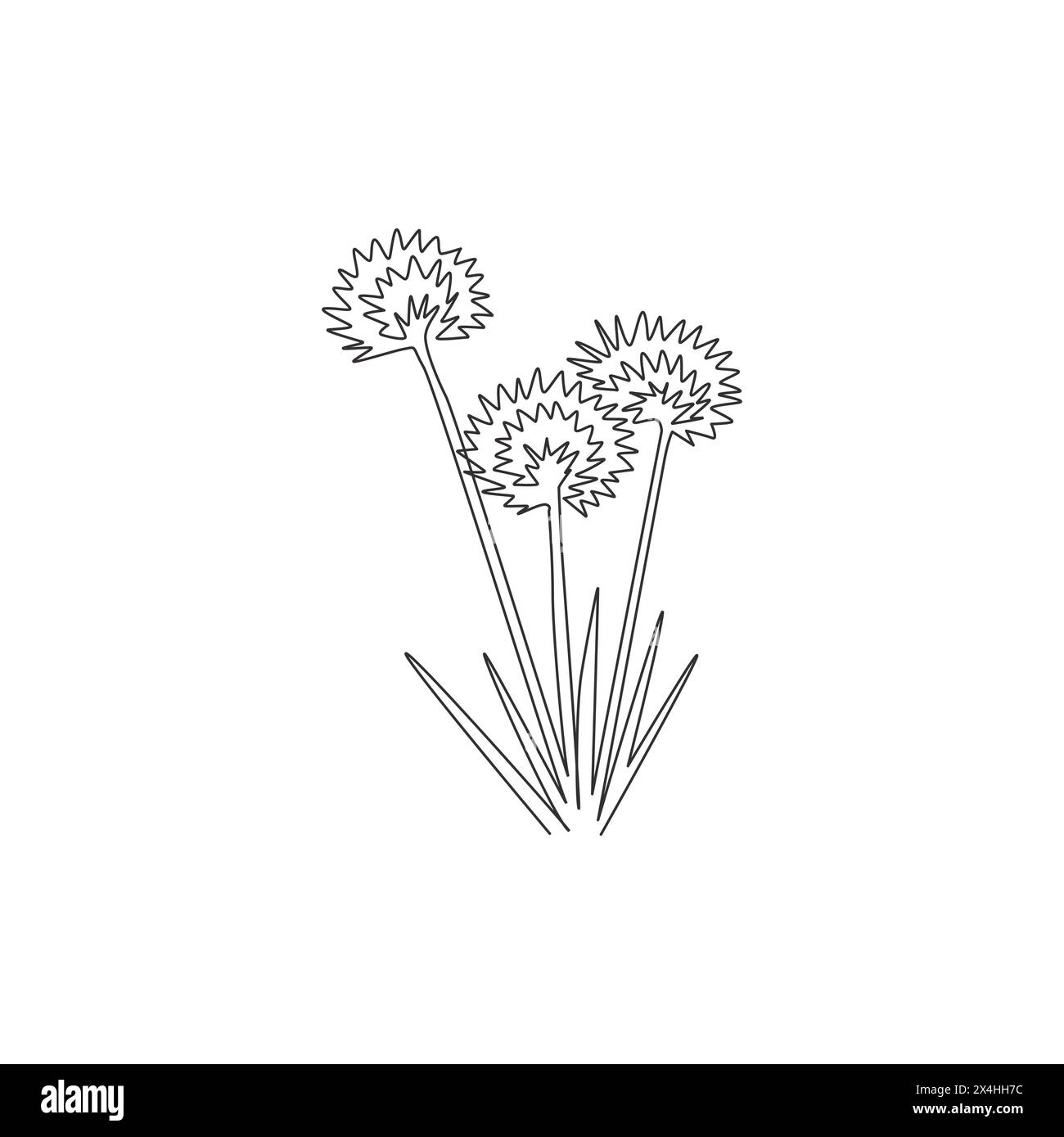 One continuous line drawing beauty fresh allium tuberosum for home wall ...