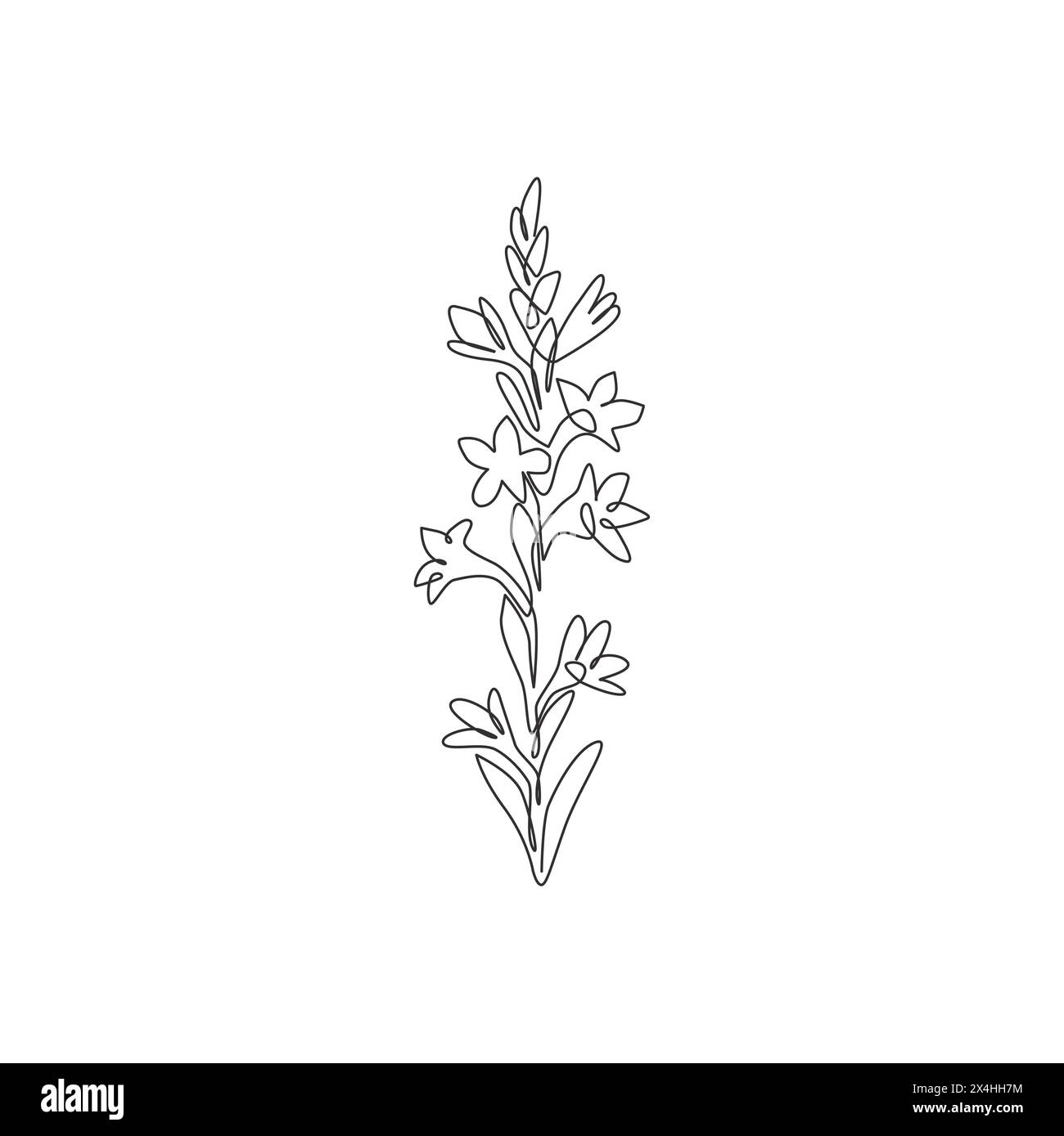 Single continuous line drawing beauty fresh agave amica for home decor ...