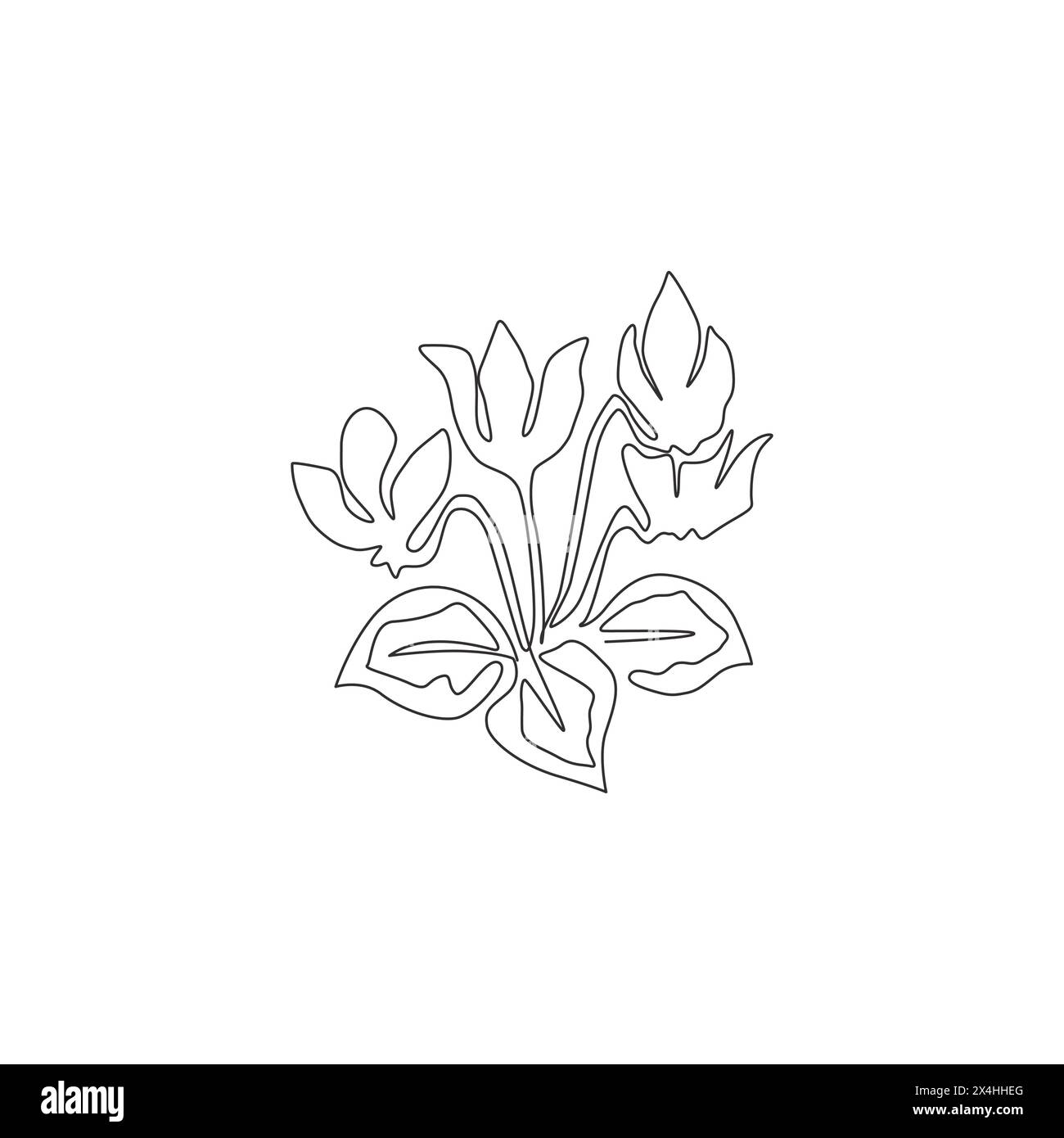 One continuous line drawing of beauty fresh cyclamen sowbread for home ...