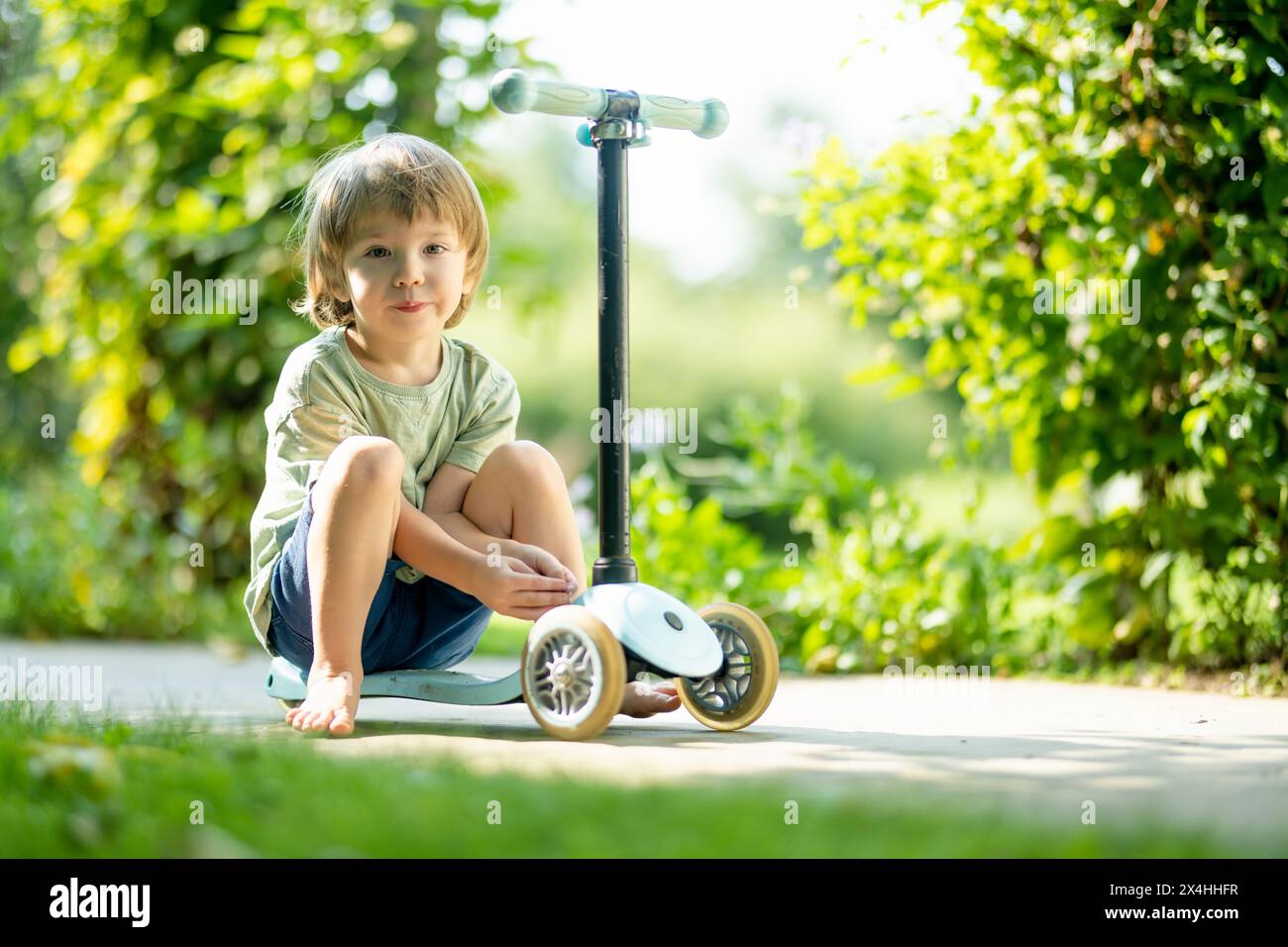 Adorable little boy riding his scooter in a back yard on sunny summer ...