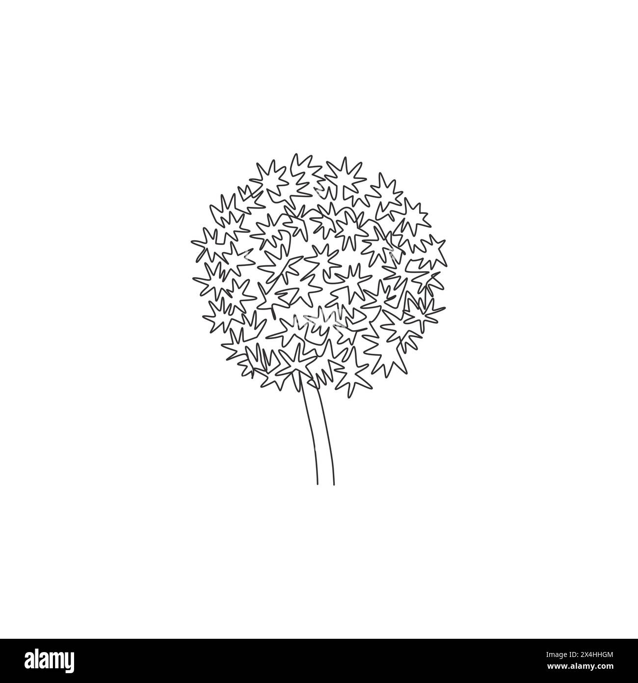 One Continuous Line Drawing Beauty Fresh Allium Globemaster For Home