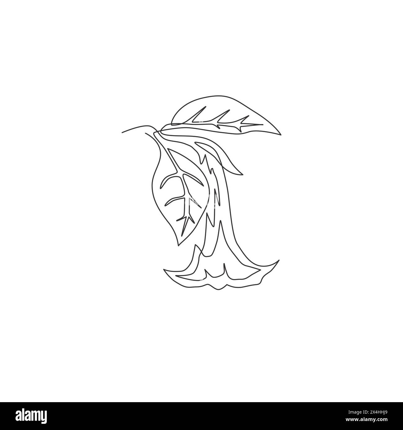 Single continuous line drawing of beauty fresh brugmansia for wall ...