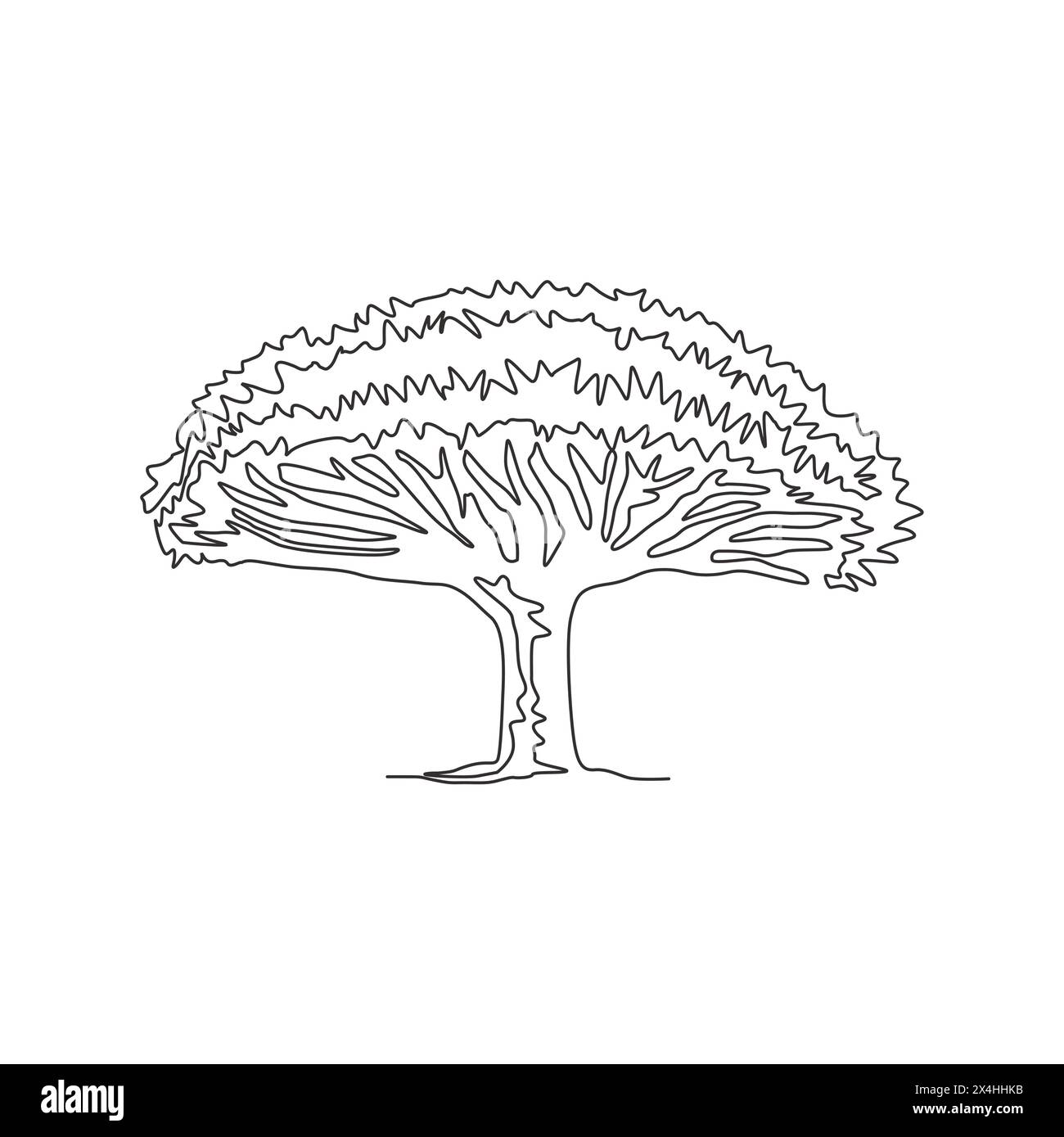 One continuous line drawing beauty dragon blood tree for wall decor ...