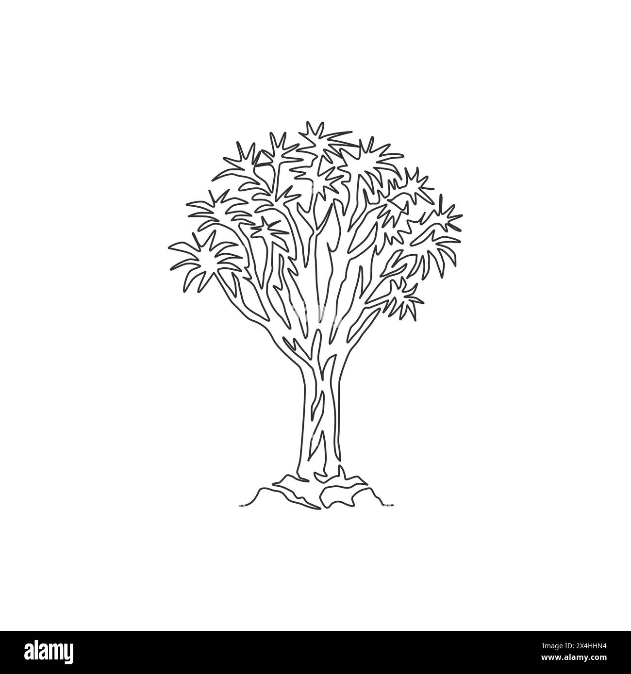 One Continuous Line Drawing Of Quiver Tree Forest Decorative Kokerboom