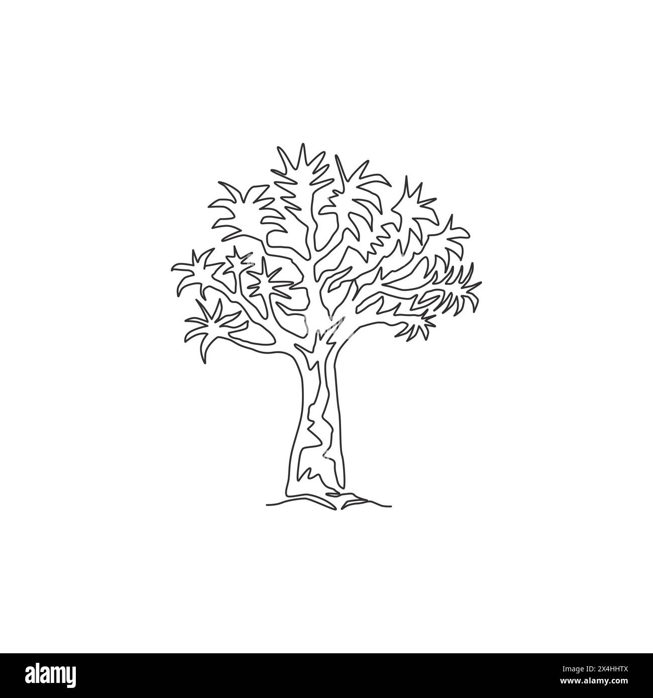 Single Continuous Line Drawing Of Quiver Tree Forest Decorative