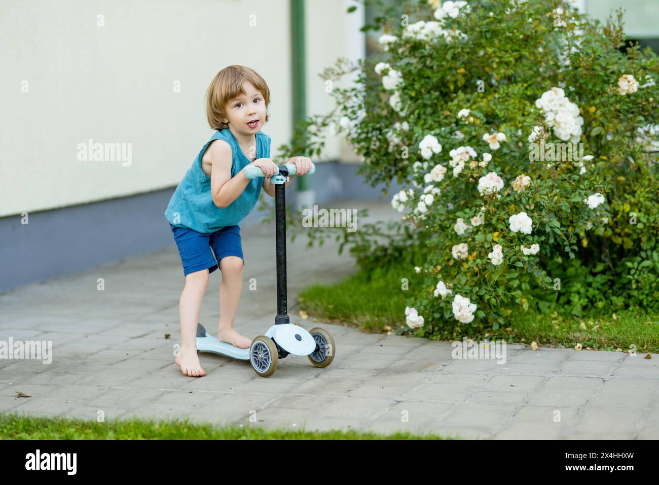 Adorable little boy riding his scooter in a back yard on sunny summer ...