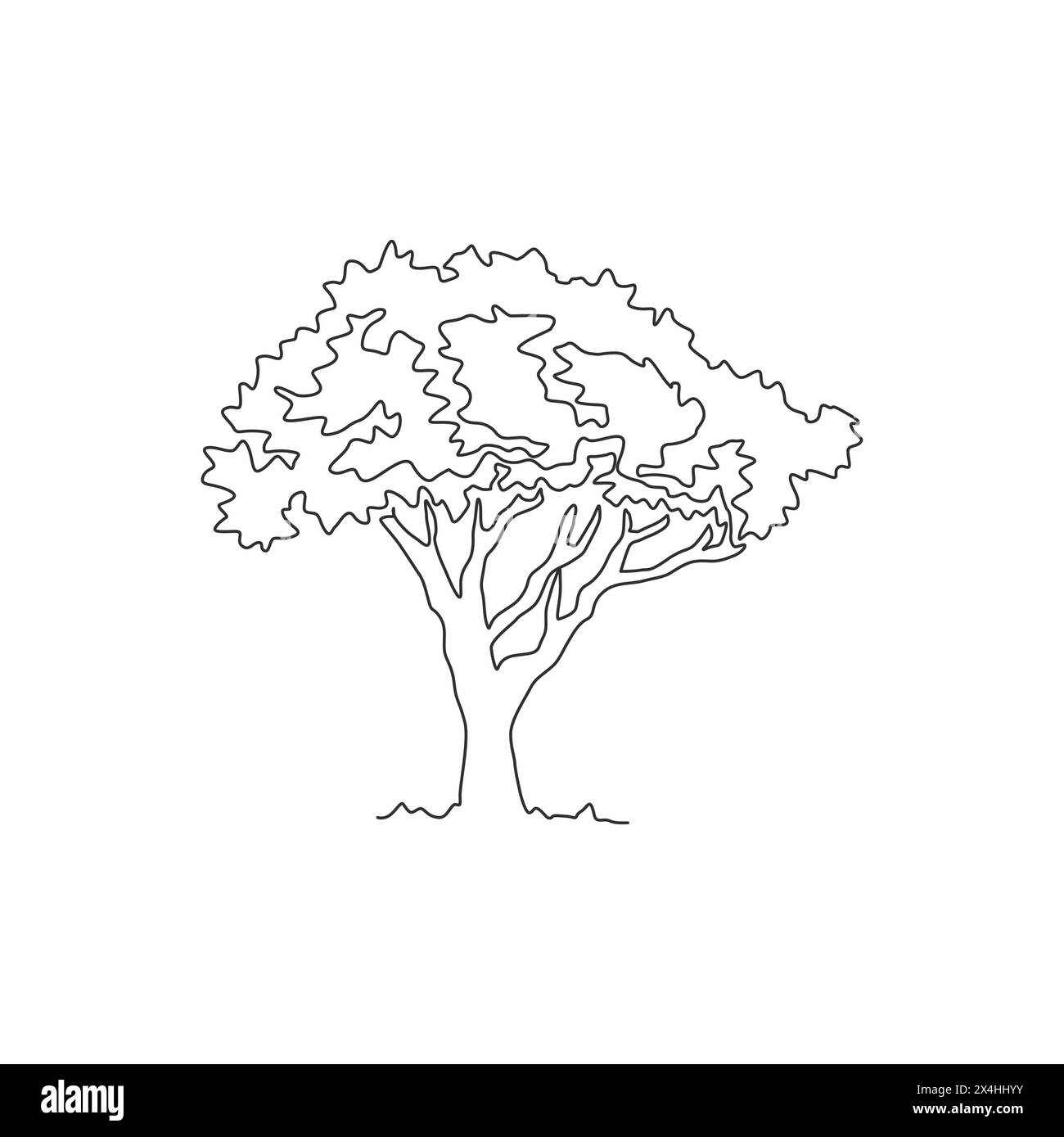 Single continuous line drawing beautiful marula tree for home decor ...