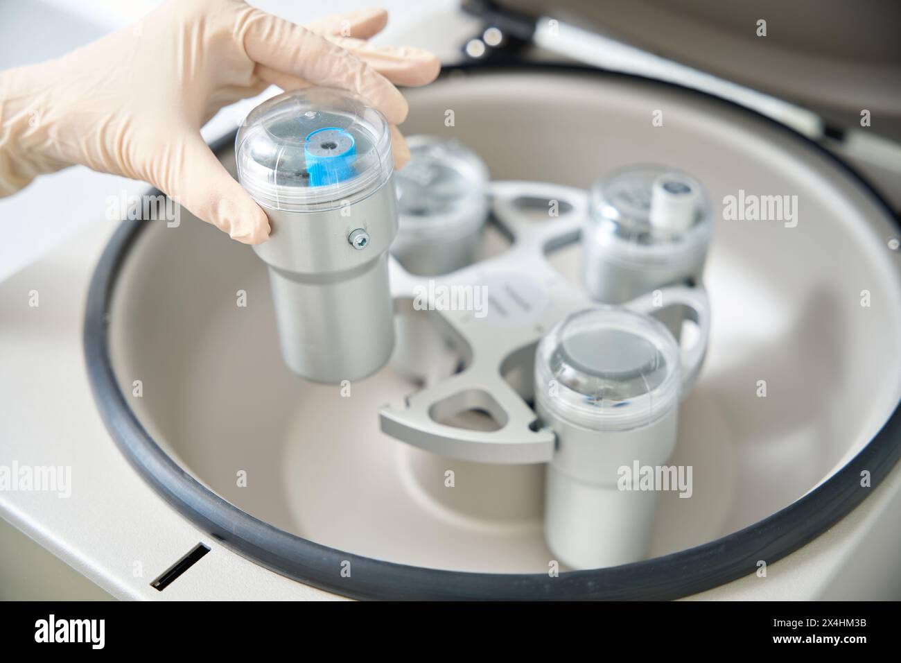 Nurse removing vacuum tube with blood sample from centrifuge, plasma ...