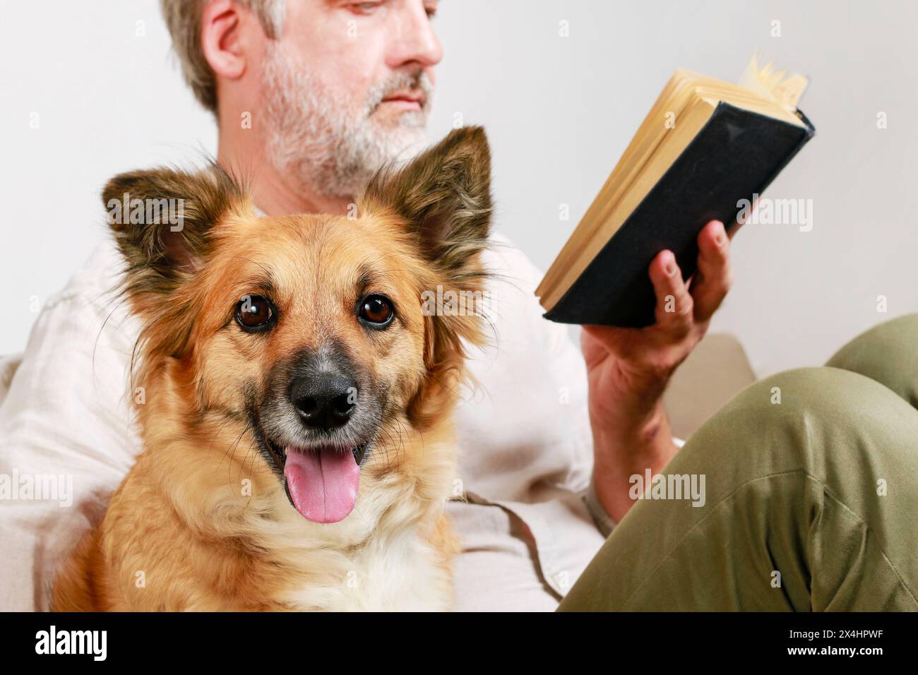 Man reading a book with his lovely dog. Life with pets Stock Photo - Alamy