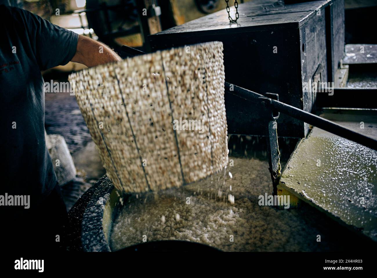 Creative use of the paper production process, lampshades are immersed ...