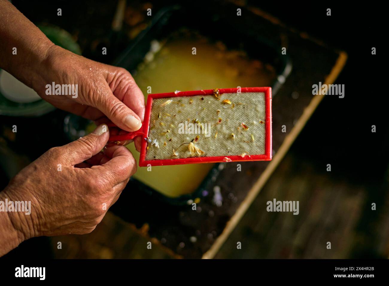 Dried flowers are moistened to be applied to the handmade paper. Paper ...