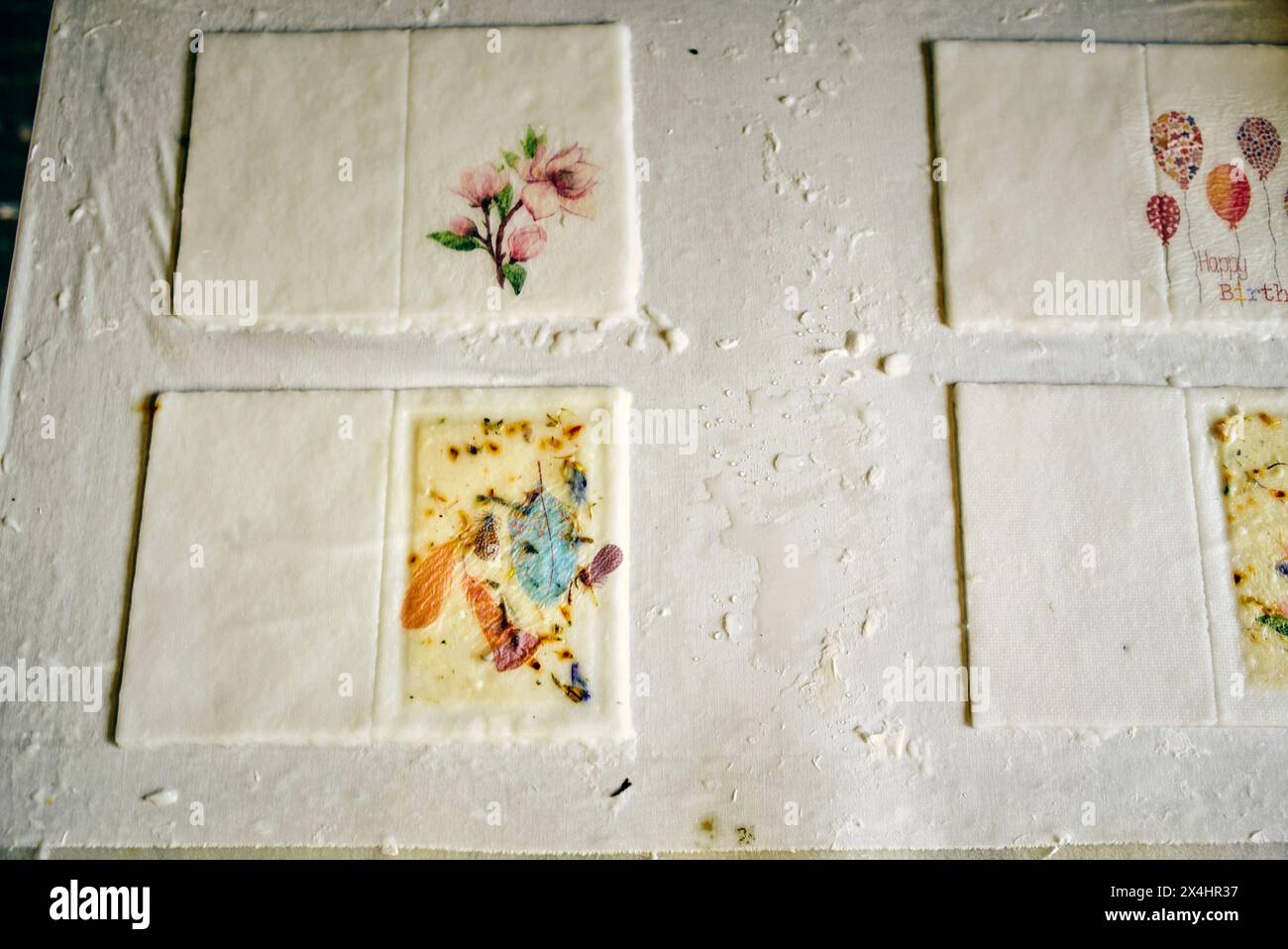 Dried flowers on the wet paper before they are pressed together and ...