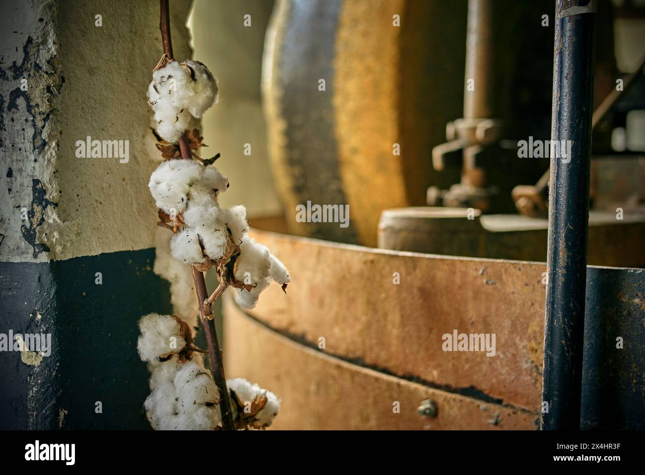 Paper pulp is made from old rags (jeans). Paper mill De Middelste Molen ...