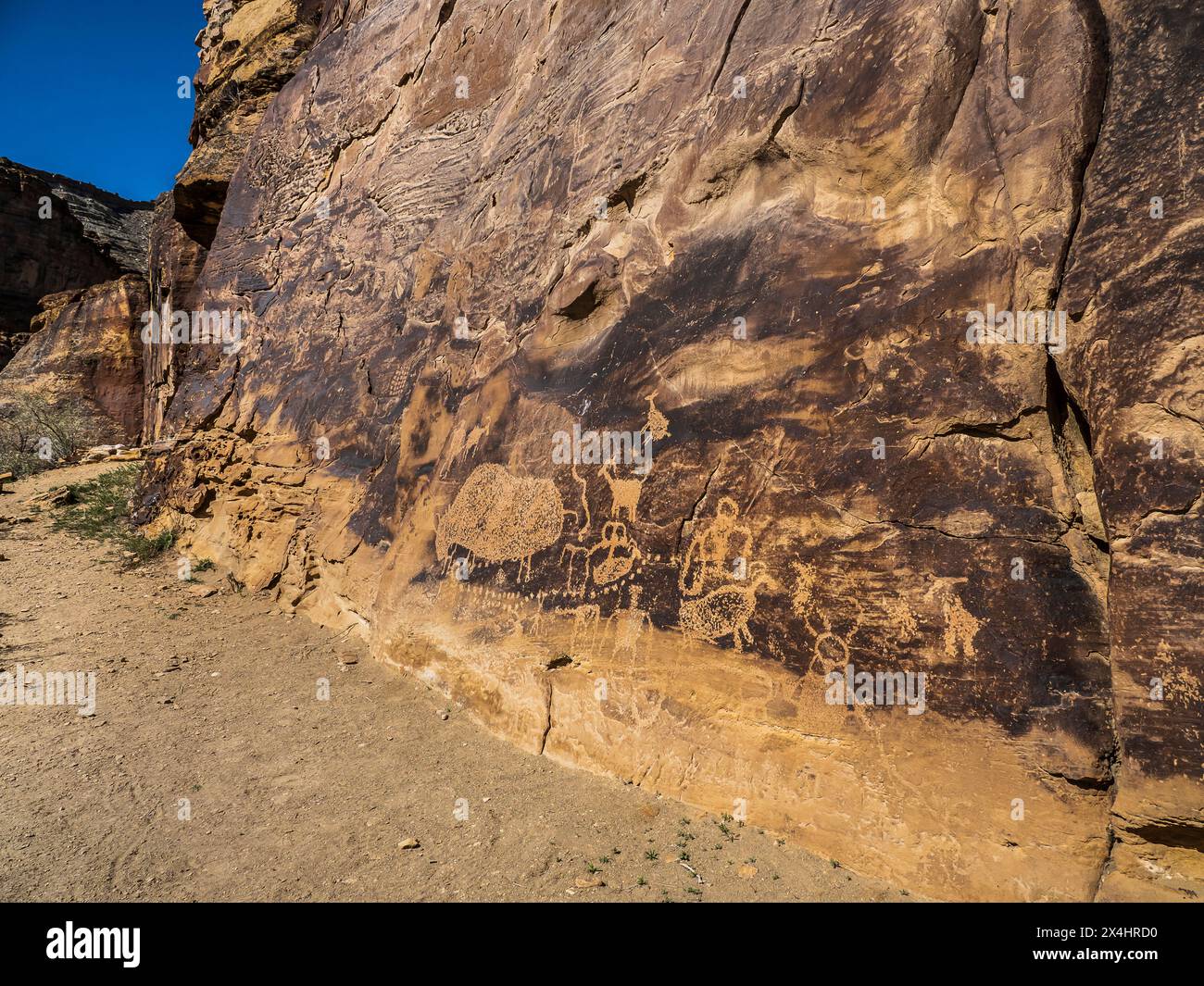 Prehistoric buffalo hi-res stock photography and images - Alamy
