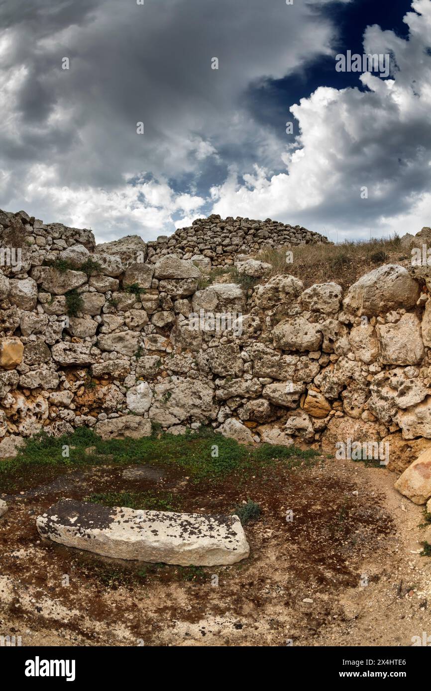 Malta Island, Gozo, the ruins of Ggantija Temples (3600-3000 BC), the ...