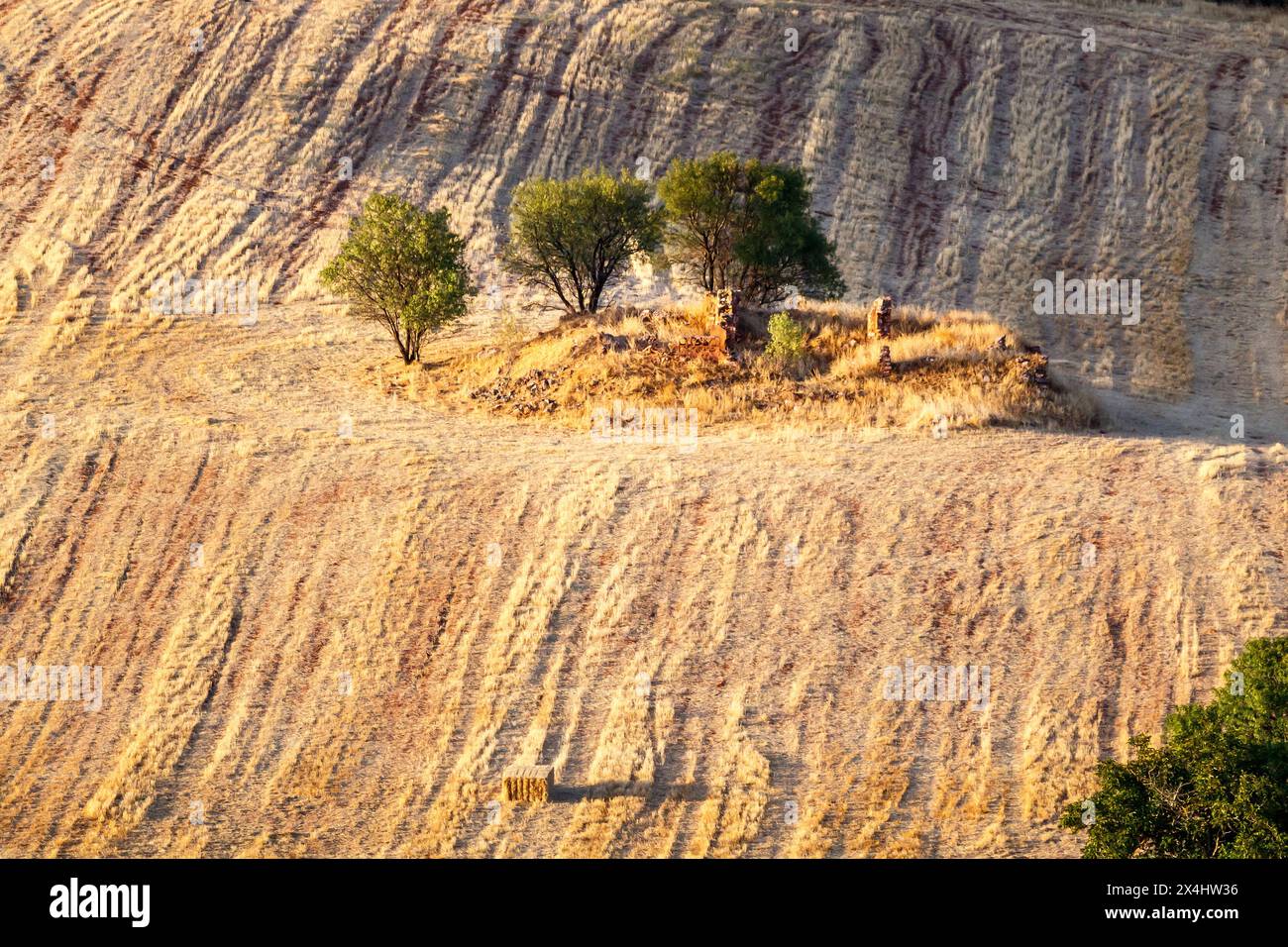 Waterwheel in stubble fields in Alhambra Stock Photo - Alamy