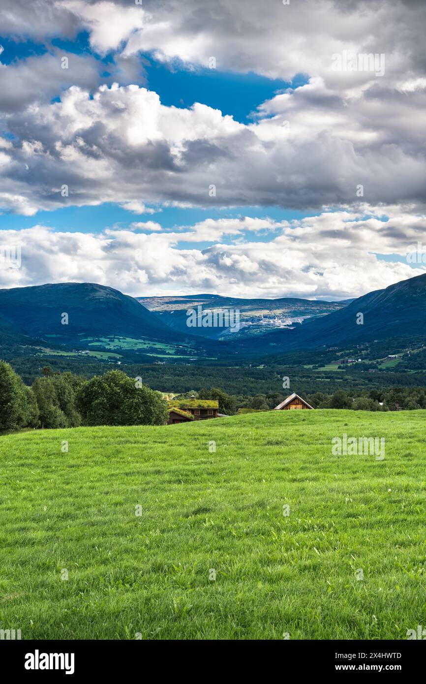 Lush grassland of Oppdal valley, in Trøndelag Norway with a farm tucked ...