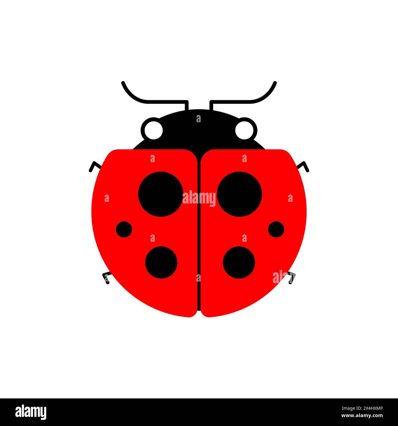 Flat hand drawn ladybug cartoon insect collection isolated on white ...