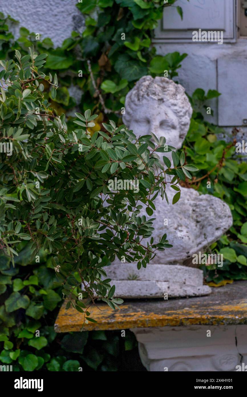 The ancient Roman woman goddess statue is seen in the bushes in ruins ...