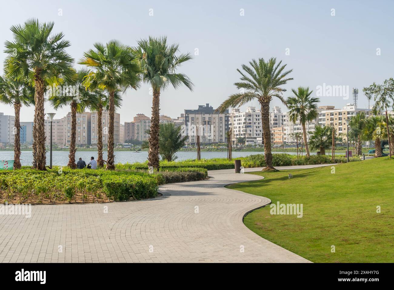 The palms near the lake promenade at Jeddah, Saudi Arabia, on the hot ...