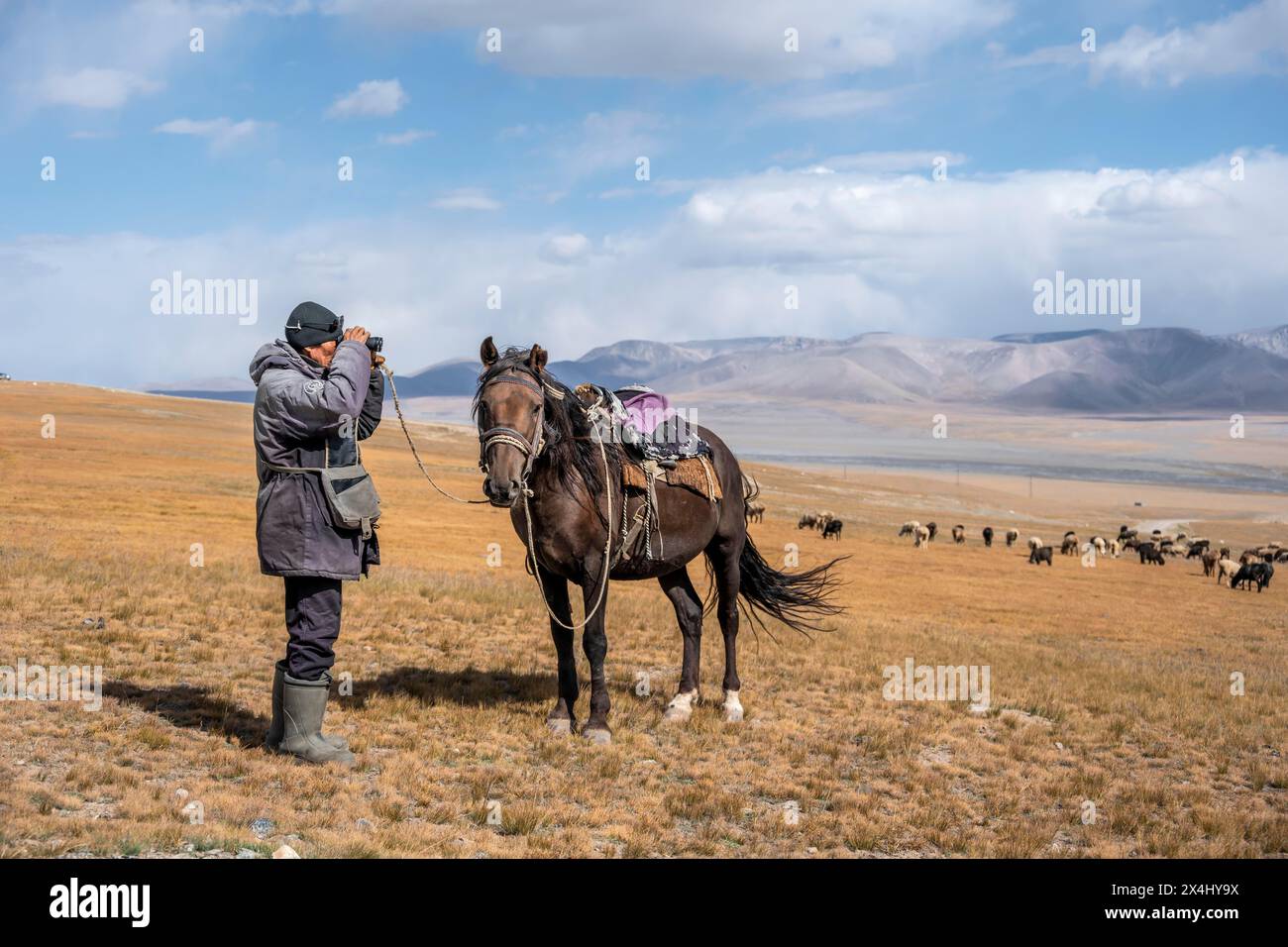 Nomadic life on a plateau, shepherd on horse, flock of sheep, dramatic ...