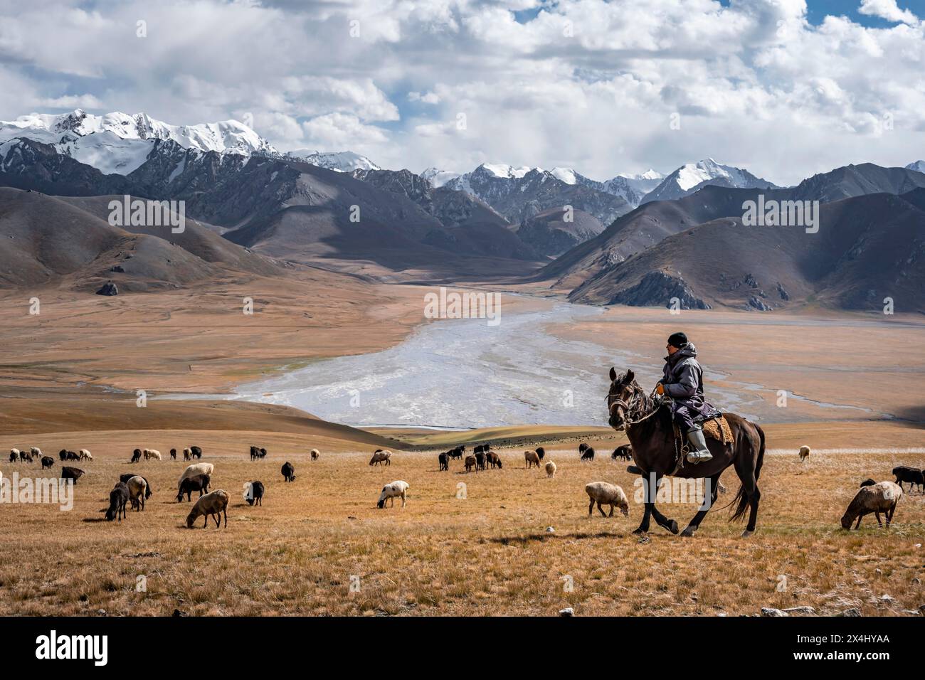 Nomadic life on a plateau, shepherd on horse, flock of sheep, dramatic ...
