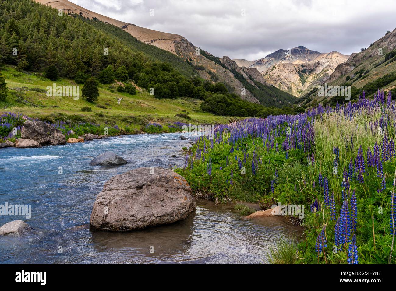 Mountain range along the Rio Blanco, Carretera Austral, Aysen, Chile ...